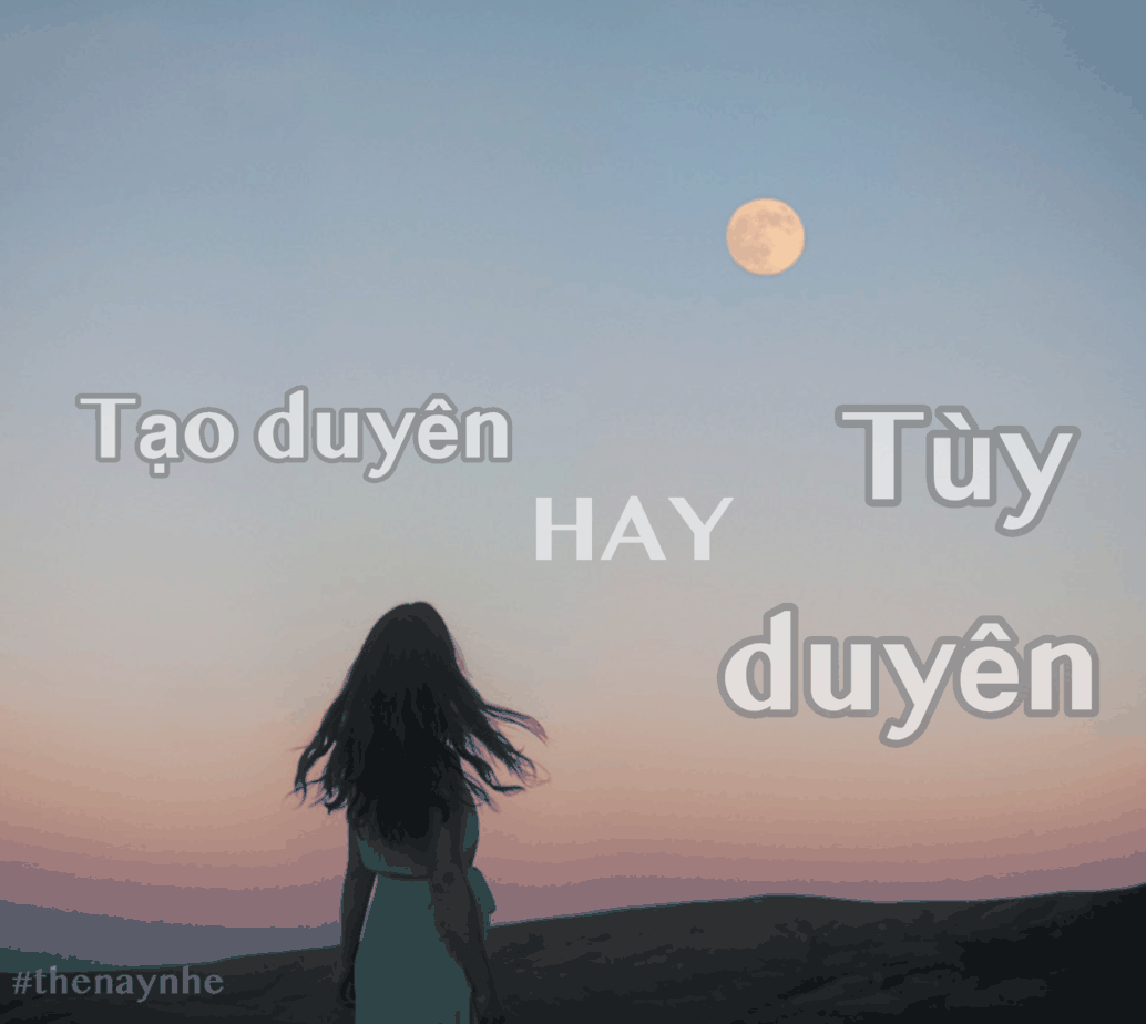 Chúng ta nên tạo duyên hay vạn sự tùy duyên ? | N.Y.C