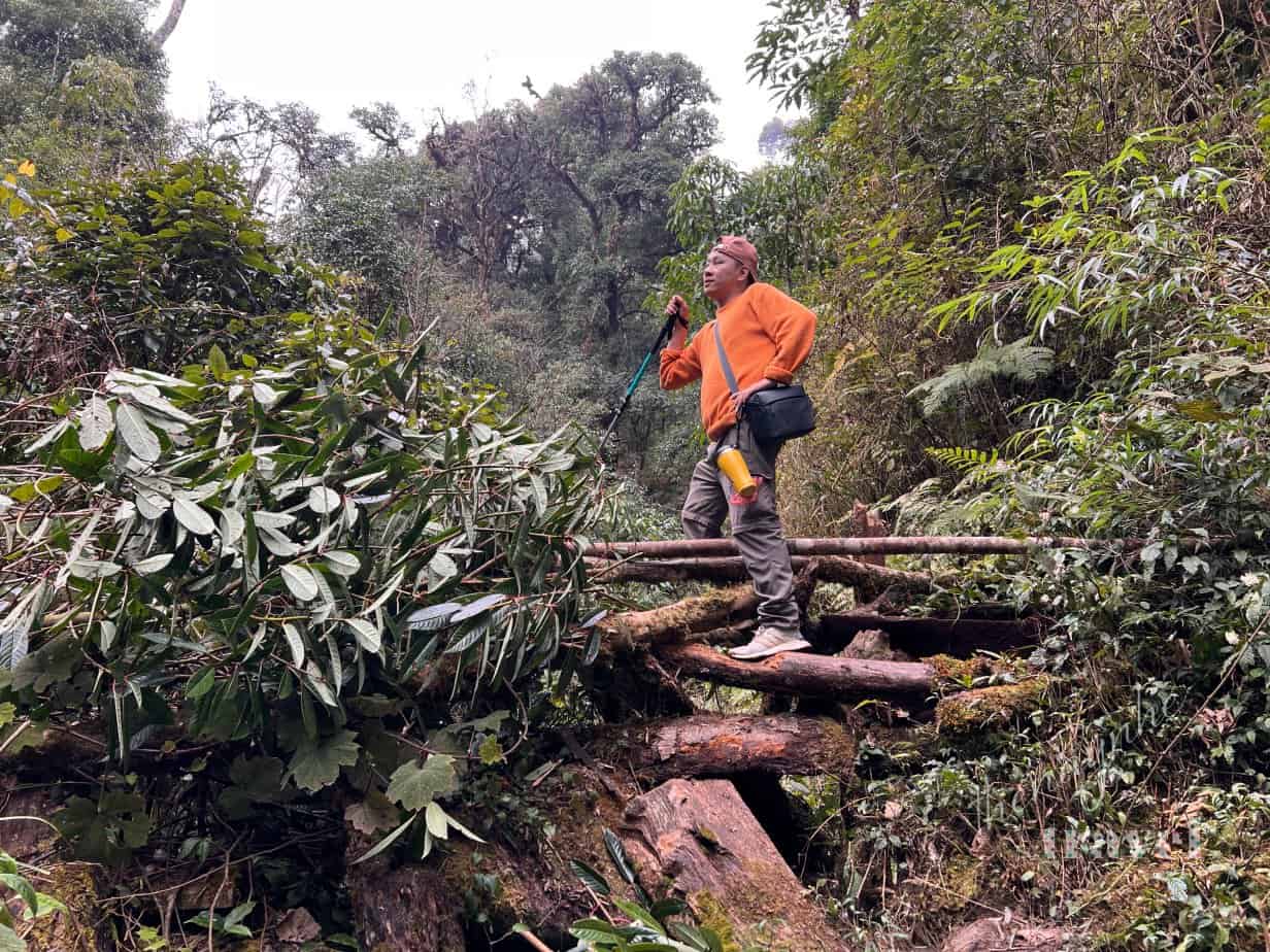 Trekking đỉnh Sa Mu | U Bò | Tà Xùa | Blog Du Lịch